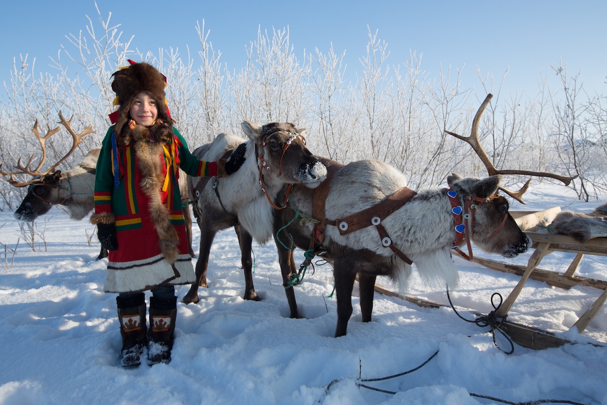 «Туристические места Севера должны быть дикими, но комфортными», – в Центре арктического туризма ...