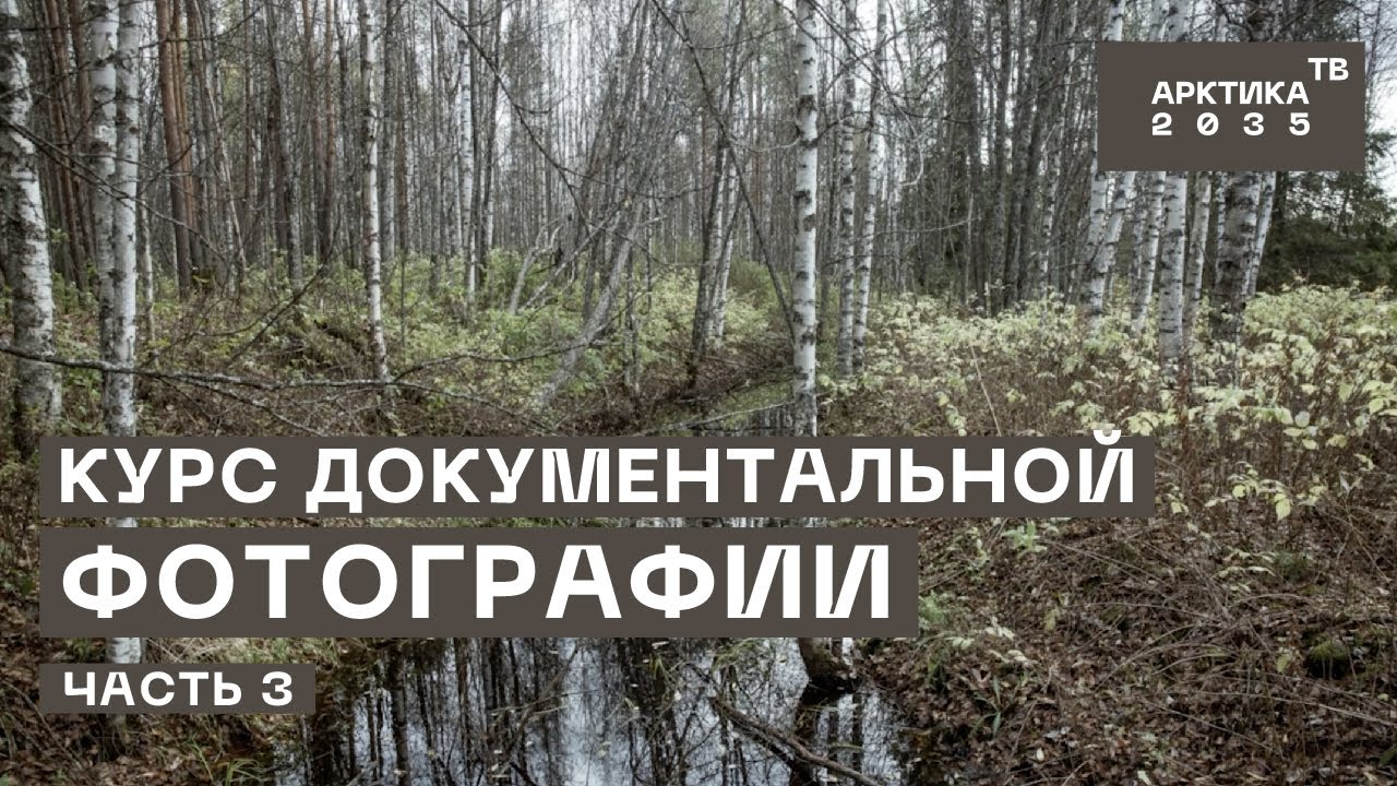 Школа арктического блогера. Курс документальной фотографии. Часть 3 – GoArctic.ru – Портал о ...